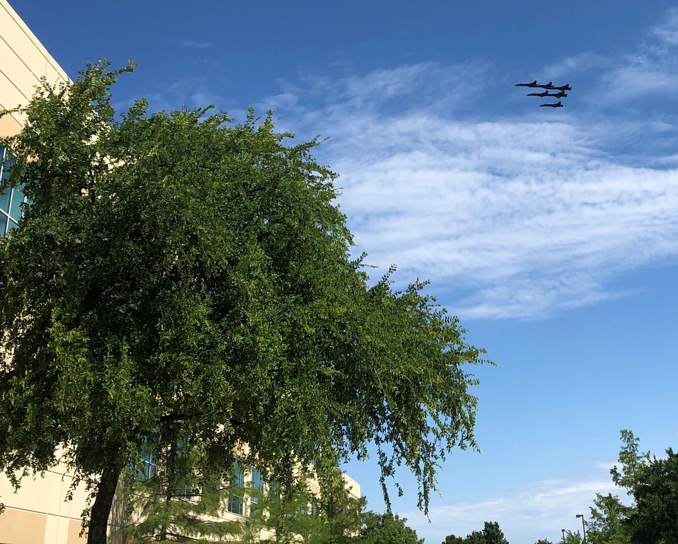 Blue Angels Honor Dallas / Fort Worth Frontline Workers with Flyover ...